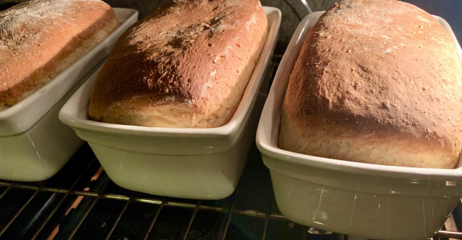 Brown Rice Honey Wheat Bread - Curious Cookery