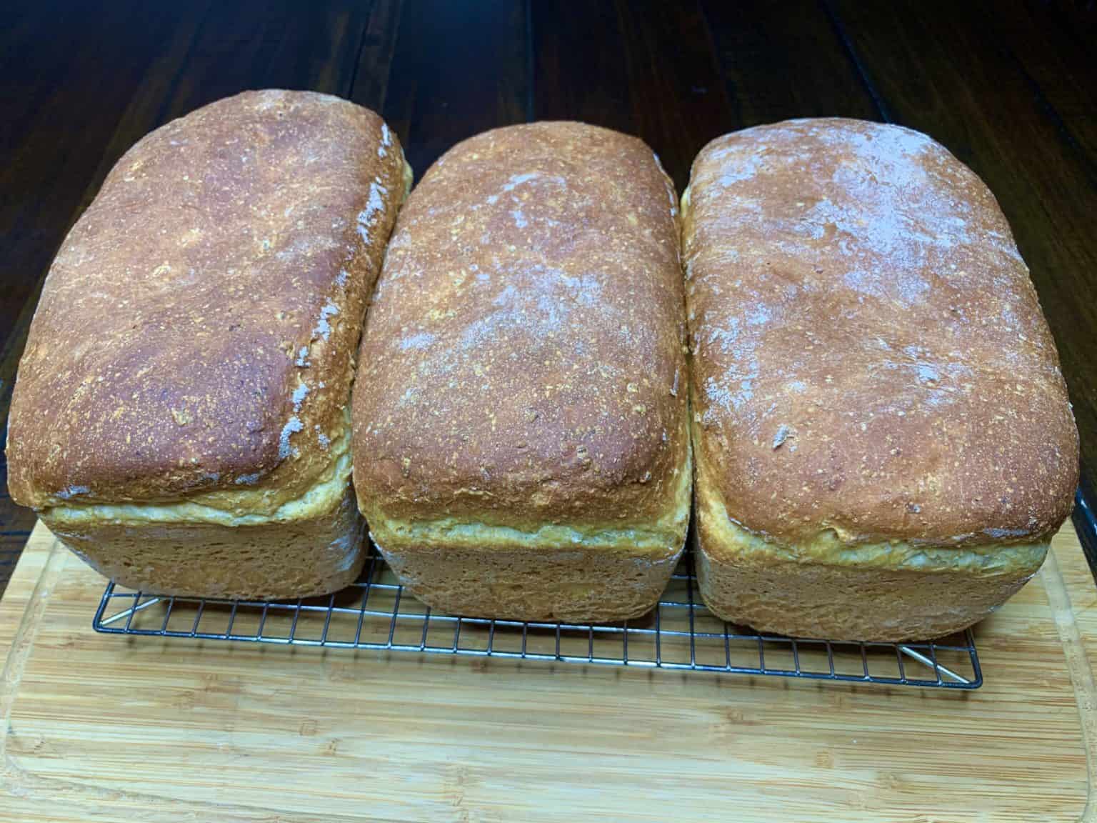 Brown Rice Honey Wheat Bread - Curious Cookery