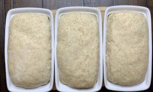 Brown Rice Honey Wheat Bread - Curious Cookery